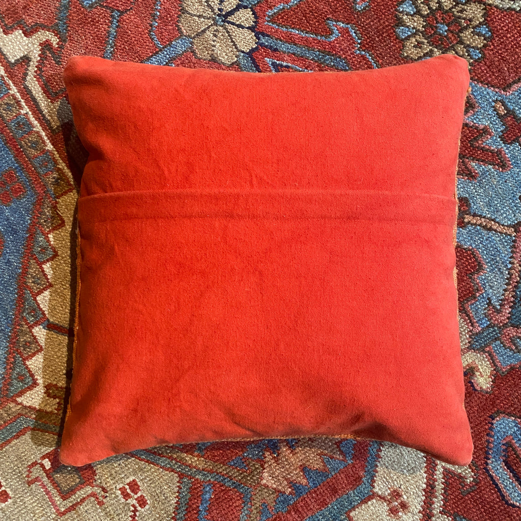 Salmon X-Ray Pillow - 16" x 16" – HEIRLOOM